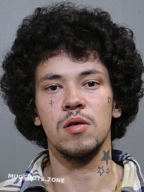 JONATHAN XAVIER ROSARIO 03/29/2025 - Chicago Mugshots Zone