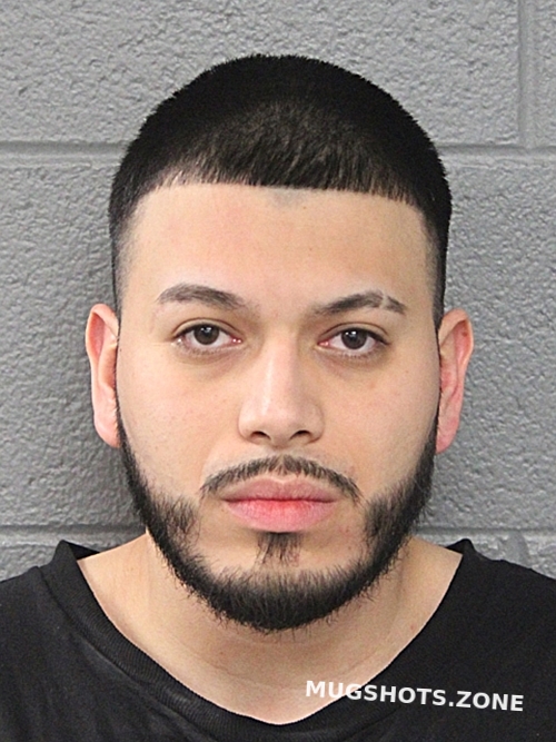 ROBERTO NAVARRO 03/29/2025 - Chicago Mugshots Zone