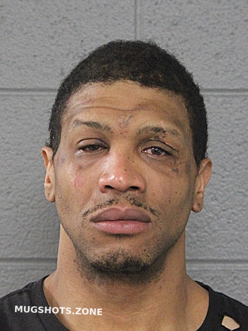 TIMOTHY A HOGAN 03/30/2025 - Chicago Mugshots Zone