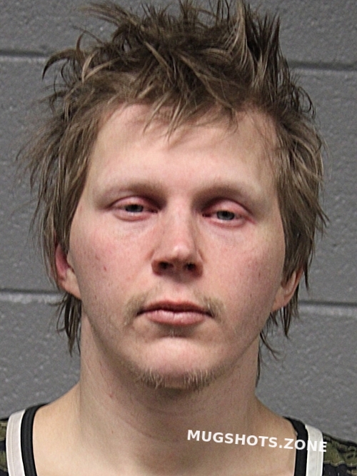 CODY ALLEN PARSONS 03/30/2025 - Chicago Mugshots Zone