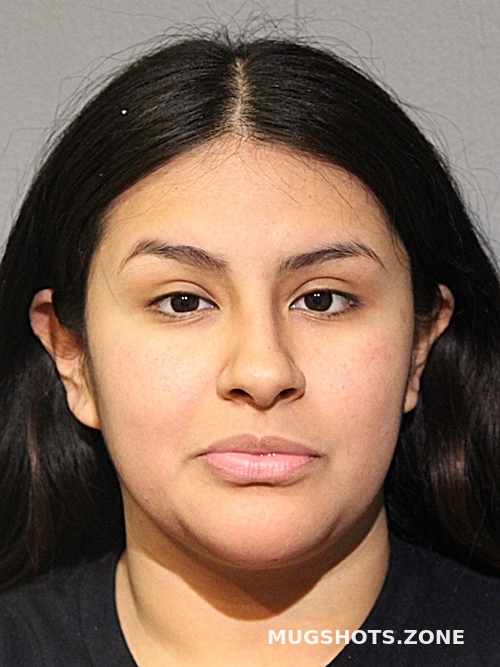 DAISY TORRES 03/30/2025 - Chicago Mugshots Zone