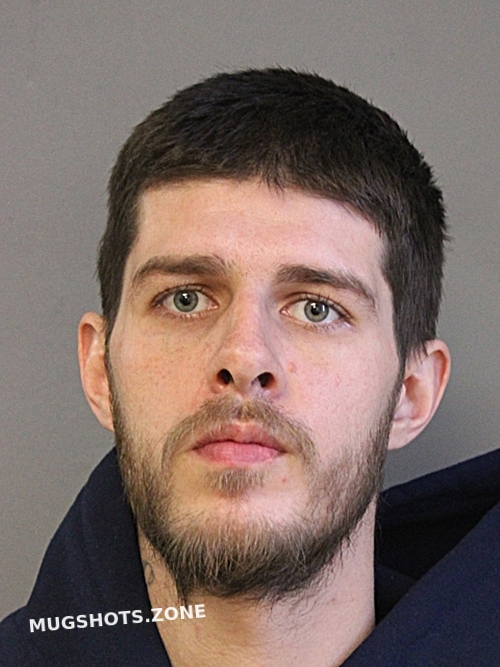 JOEY GREEN 03/31/2025 - Chicago Mugshots Zone
