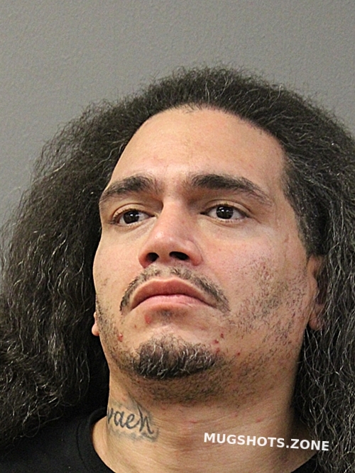 JOSE L ALVERIO 03/31/2025 - Chicago Mugshots Zone