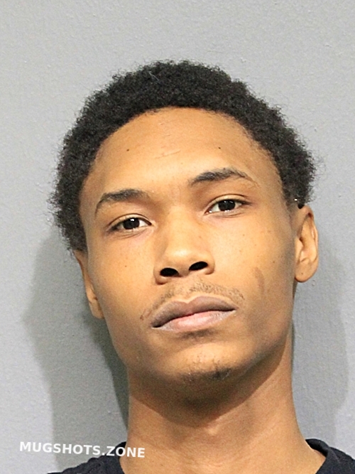 EDWARD M WILLIAMS 03/31/2025 - Chicago Mugshots Zone
