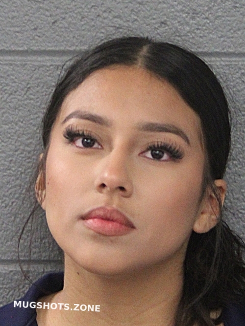 EMILY TORRES 03/31/2025 - Chicago Mugshots Zone