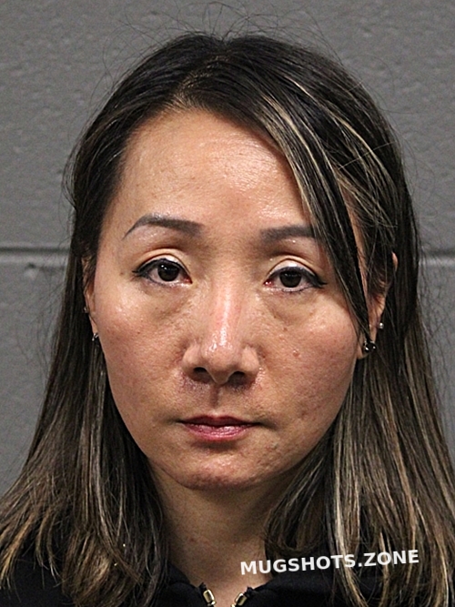YUEFENG CHEN 04/02/2025 - Chicago Mugshots Zone