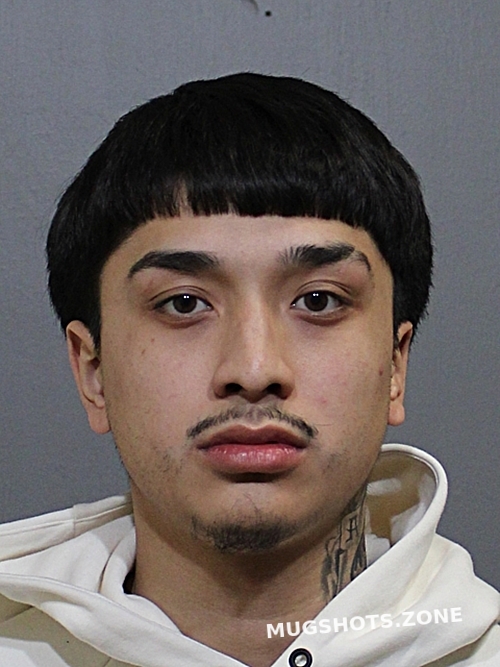JULIAN CORRAL 04/03/2025 - Chicago Mugshots Zone