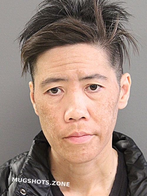 JANET H YU 04/03/2025 - Chicago Mugshots Zone