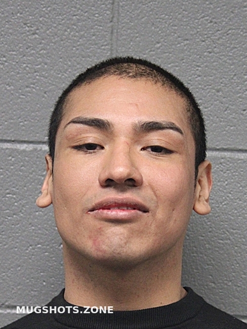 ALEXIS CISNEROS 04/04/2025 - Chicago Mugshots Zone