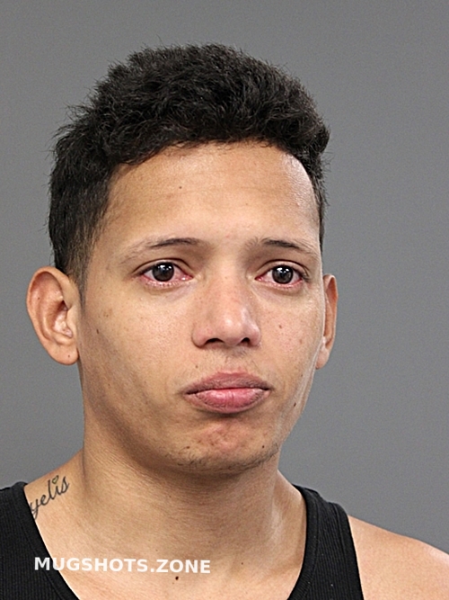 ANKEL MANUEL MANJARREZ CHACIN 04/05/2025 - Chicago Mugshots Zone