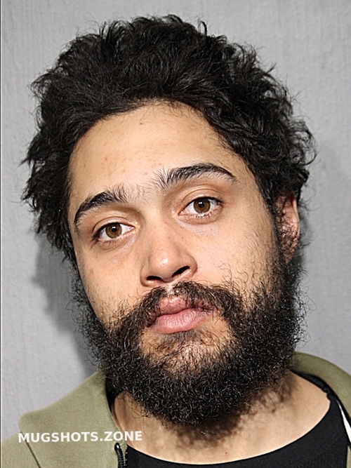 CAMERON L YOUNG 04/05/2025 - Chicago Mugshots Zone