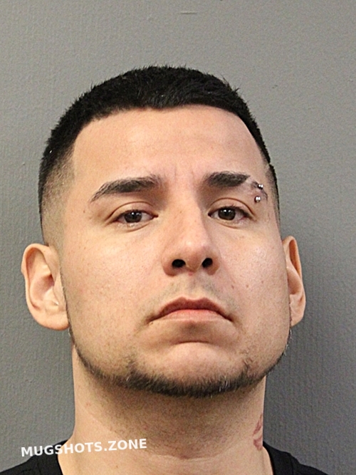 JAVIER PAREDES 04/06/2025 - Chicago Mugshots Zone