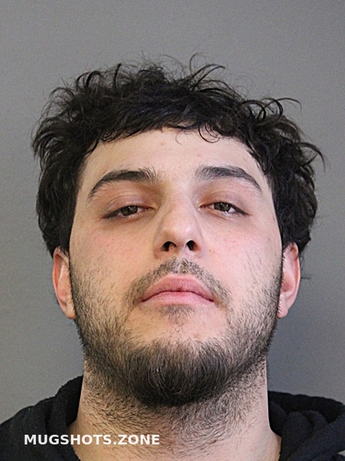 JOHNATHAN ZAIA 04/06/2025 - Chicago Mugshots Zone