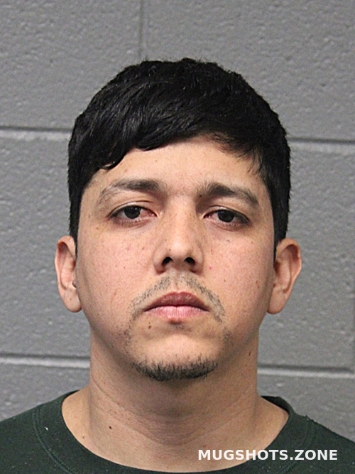 ALEJANDRO J NAVARRO MEDINA 04/06/2025 - Chicago Mugshots Zone