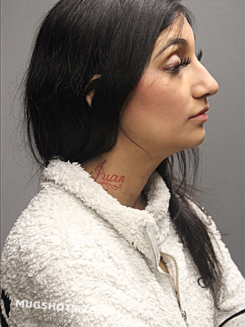 JENELLE E MATHEW 04/06/2025 - Chicago Mugshots Zone