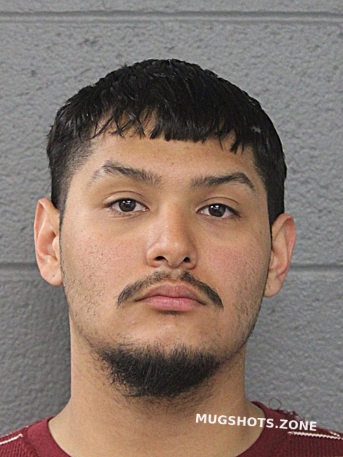 JUAN E VALADEZ 04/07/2025 - Chicago Mugshots Zone