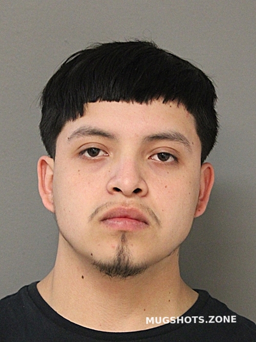 ANGEL NAVA ZETINA 04/07/2025 - Chicago Mugshots Zone