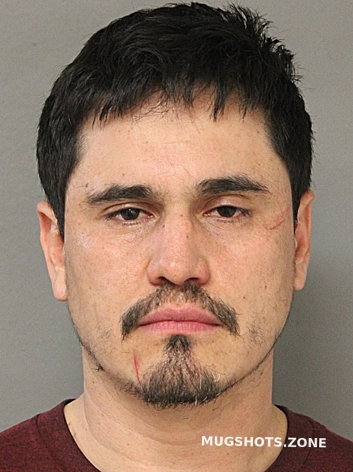 JUAN A DEL RIO 04/07/2025 - Chicago Mugshots Zone