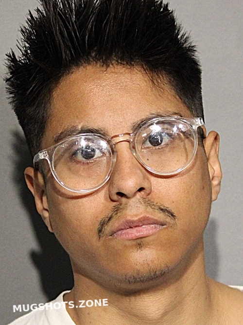 JUAN DIEGO ROJAS 04/08/2025 - Chicago Mugshots Zone