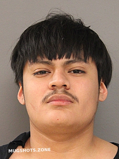 MARK CRUZ 04/08/2025 - Chicago Mugshots Zone