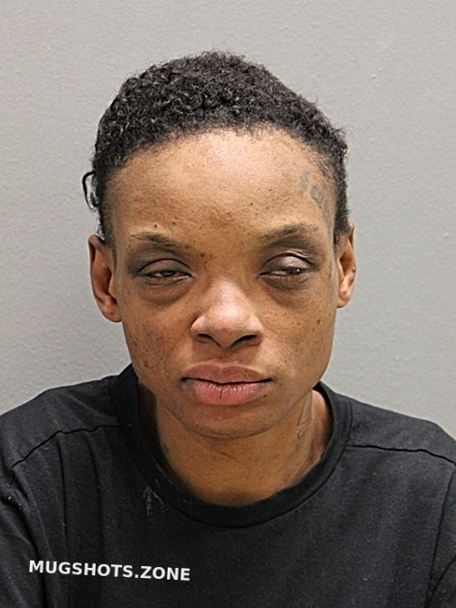 JOHNETTA R SMITH 04/08/2025 - Chicago Mugshots Zone