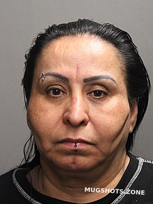 MARIA D TREVIZO 04/08/2025 - Chicago Mugshots Zone