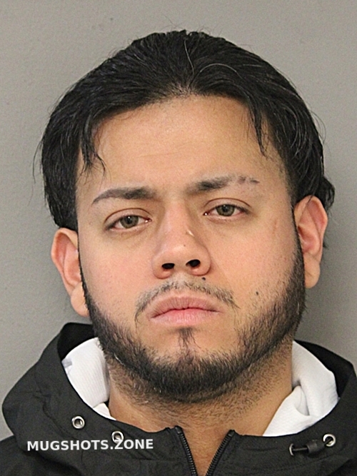 FERNANDO G DELGADO 04/09/2025 - Chicago Mugshots Zone