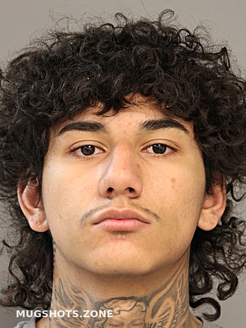 ALEJANDRO ALVA GONZALEZ 04/11/2025 - Chicago Mugshots Zone