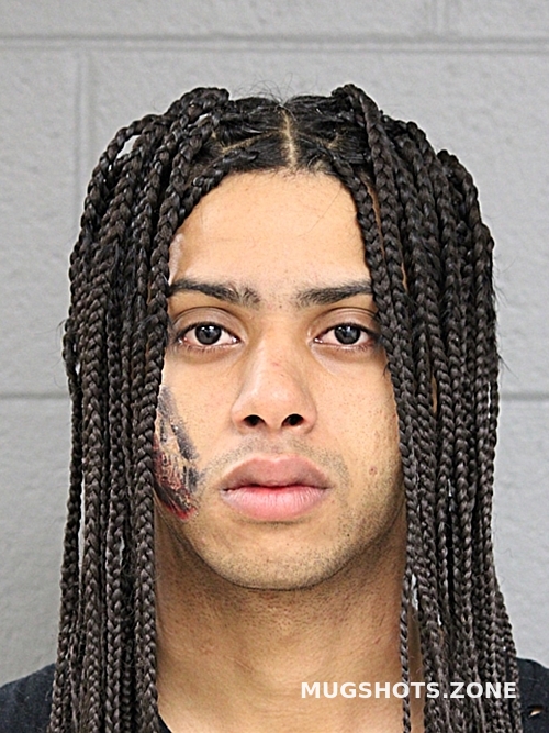 YAN R SEMANAT GONZALEZ 04/11/2025 - Chicago Mugshots Zone