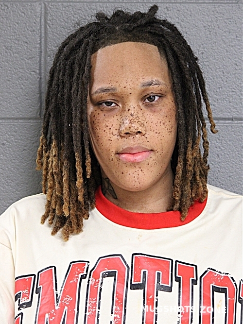 MOSES M ALEXANDER 04/12/2025 - Chicago Mugshots Zone