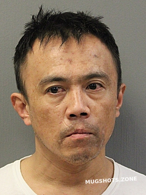 JOHN PAUL DELFIN 04/12/2025 - Chicago Mugshots Zone