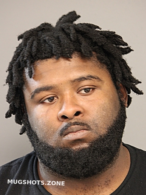 LARRY D HARRIS 04/13/2025 - Chicago Mugshots Zone