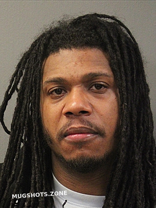 REGINALD J SALLIS 04/13/2025 - Chicago Mugshots Zone