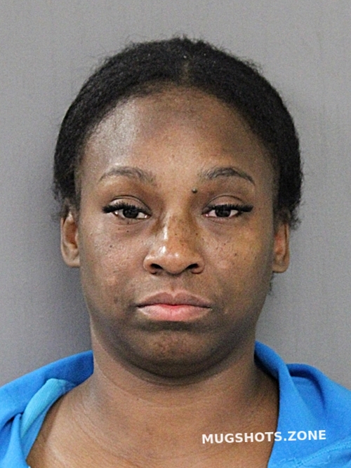 BRITTANY N STEVENSON 04/14/2025 - Chicago Mugshots Zone
