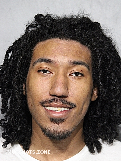 ERIK JAMES STEELE 04/14/2025 - Chicago Mugshots Zone