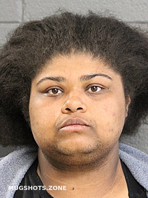 ALLISON R FIGGERS 04/14/2025 - Chicago Mugshots Zone