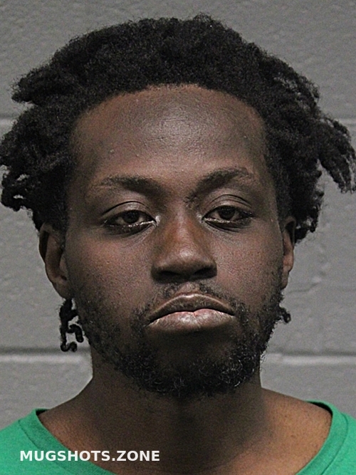 GEORGE E BROWN 04/15/2025 - Chicago Mugshots Zone