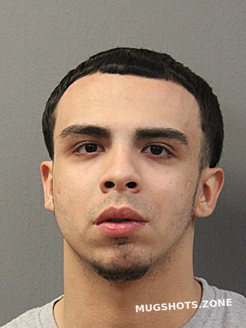 ADONIS O ALEJANDRO 04/15/2025 - Chicago Mugshots Zone