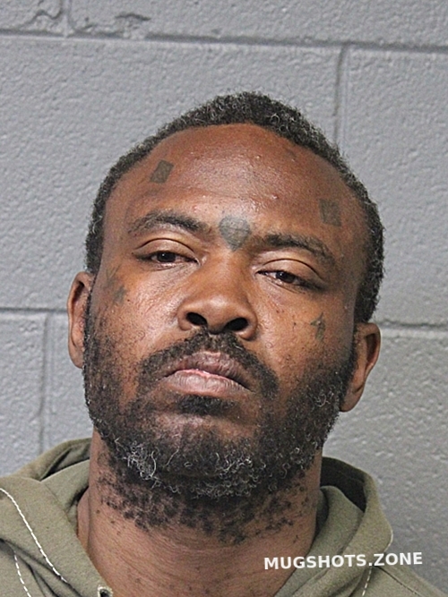 TIMOTHY L JOHNSON 04/16/2025 - Chicago Mugshots Zone