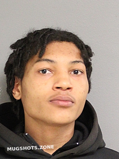 LATAVION CROWDER 04/16/2025 - Chicago Mugshots Zone