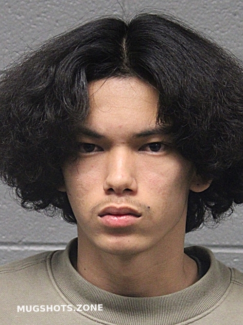 RANDY PERSUAD 04/16/2025 - Chicago Mugshots Zone