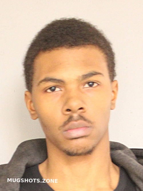 DEVIN D BASS 04/16/2025 - Chicago Mugshots Zone