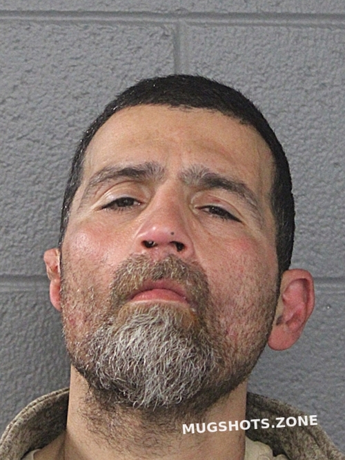 FEDERICO DEL VILLAR 04/17/2025 - Chicago Mugshots Zone