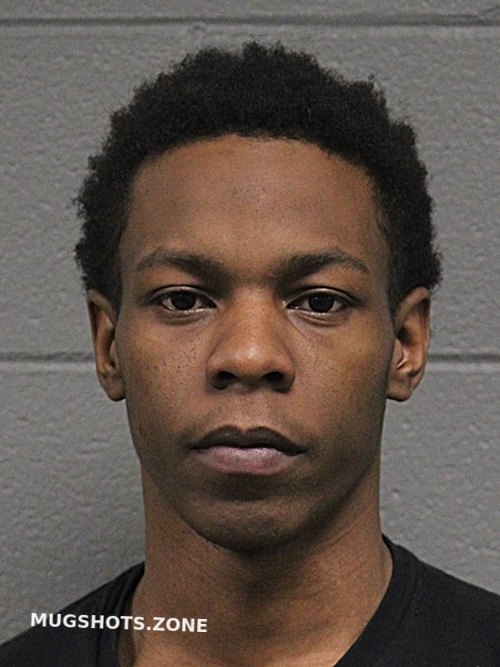 MICHAEL JAMES PERKINS 04/17/2025 - Chicago Mugshots Zone
