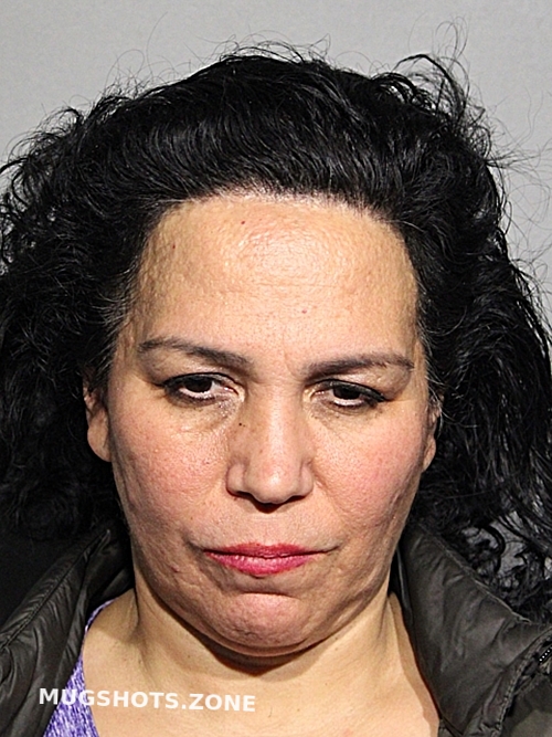 REGINA MARIA RIVERO 04/19/2025 - Chicago Mugshots Zone