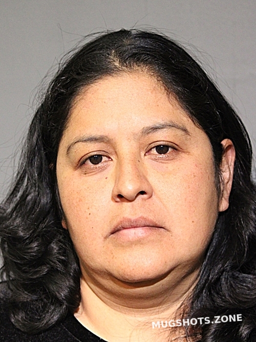 DANIA E RIVERA 04/19/2025 - Chicago Mugshots Zone