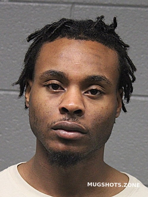 NATHAN TREMAINE DAVIS 04/20/2025 - Chicago Mugshots Zone