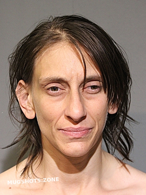 LAURA R JOHNSON 04/20/2025 - Chicago Mugshots Zone