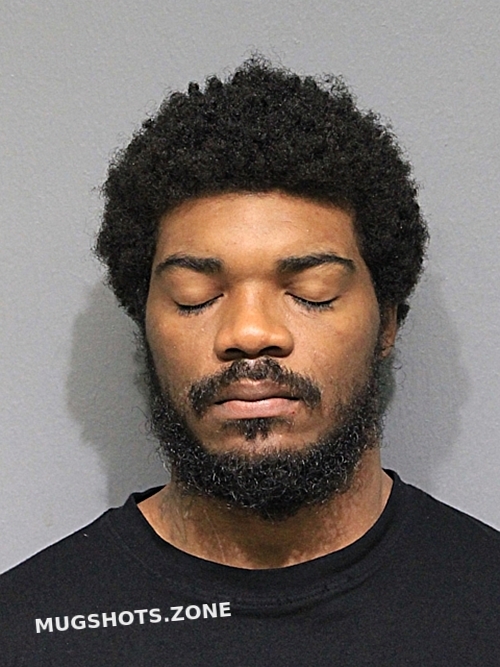 DEANDRE D BROWNRIDGE 04/20/2025 - Chicago Mugshots Zone