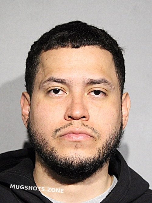 ERIK G CASTILLO 04/20/2025 - Chicago Mugshots Zone